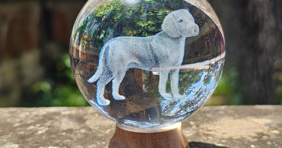 20240605_143211.jpg?crop=center&height=630&v=1742740675&width=1200