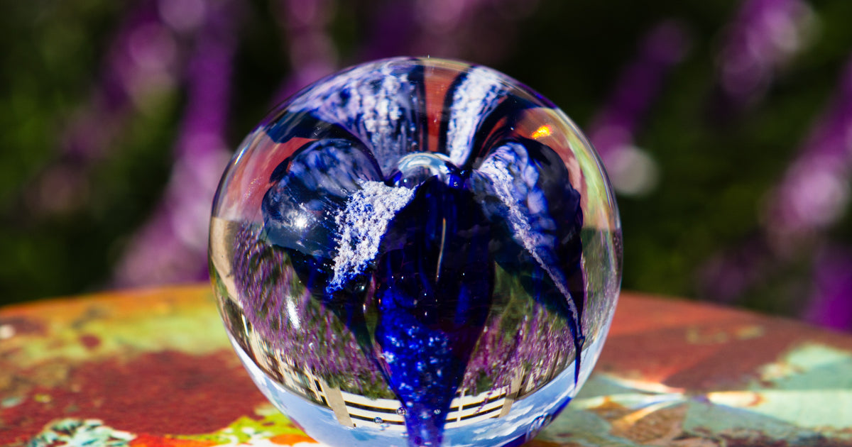 IMG_3004_41f343f3-f087-41ee-b2fb-7610040df141.jpg?crop=center&height ...