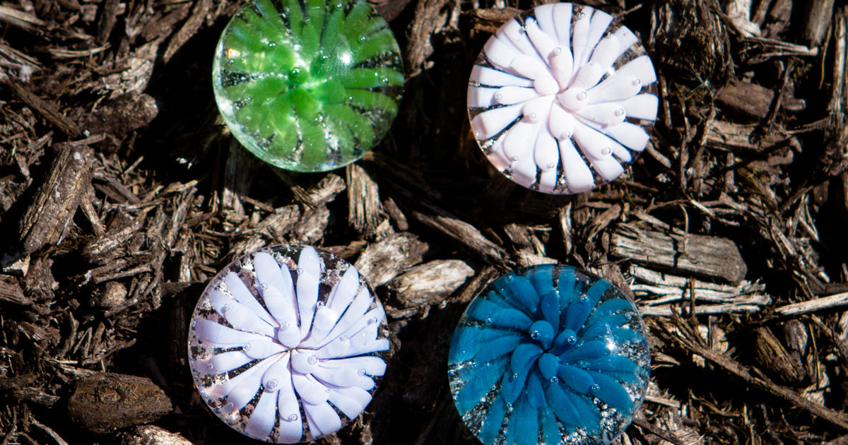 IMG_3674.jpg?crop=center&height=630&v=1545522378&width=1200