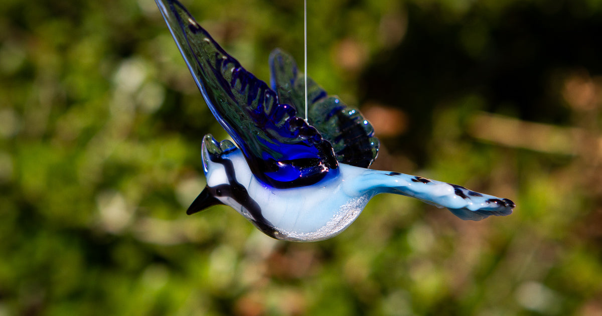 IMG_5322_99ae62bd-f0e3-44e3-b936-0828c8b6fa03.jpg?crop=center&height ...