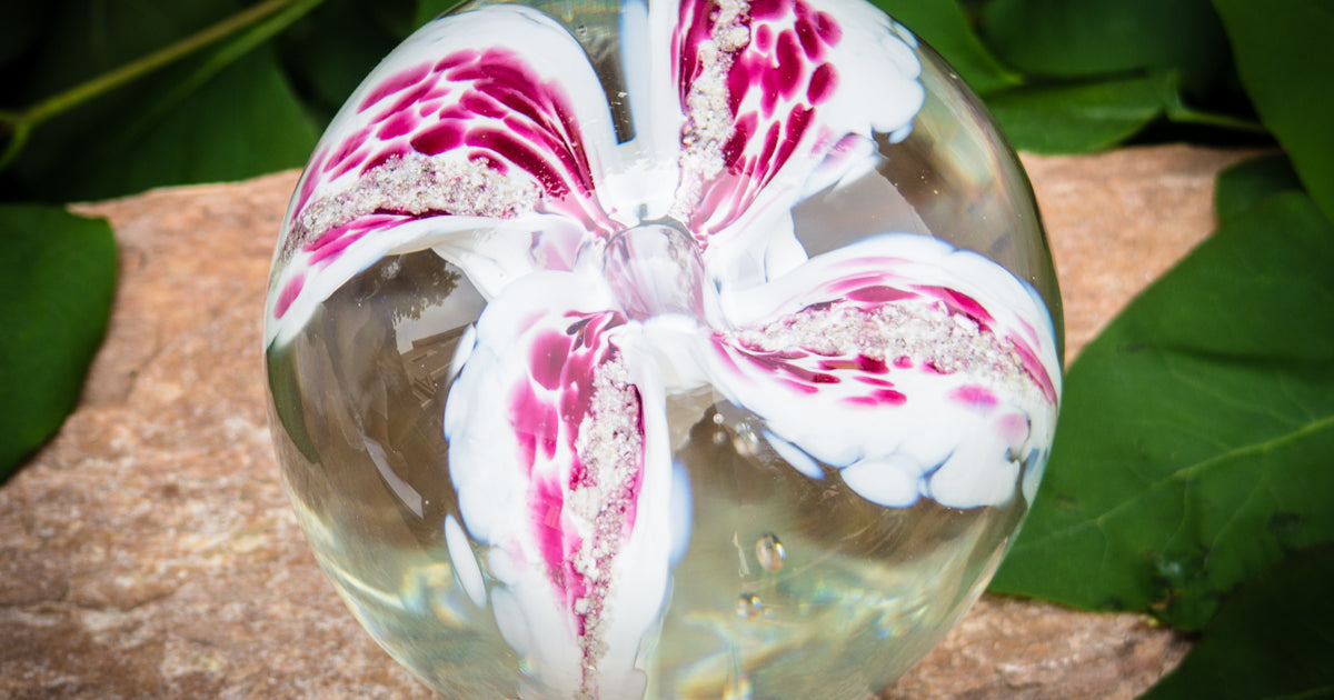 White_and_Heliotrope_Flower_e0e9ae98-c7cc-45fb-a2d3-b7f3dc701201.JPG ...
