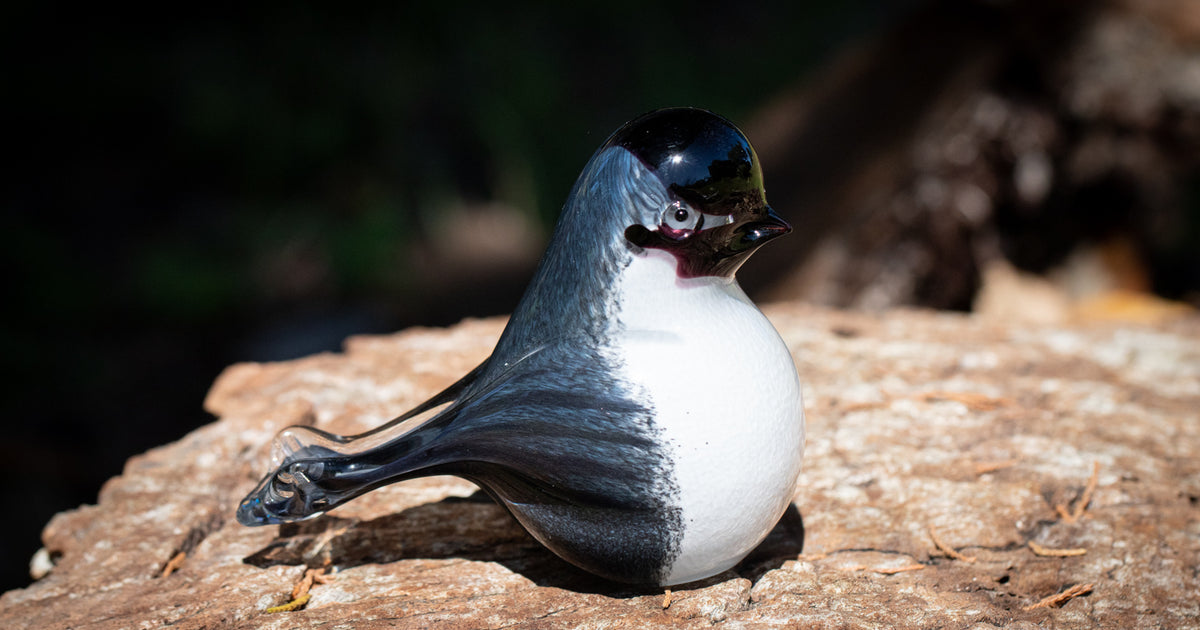 chickadeebirdwithcremationashes.jpg?crop=center&height=630&v=1620334880 ...
