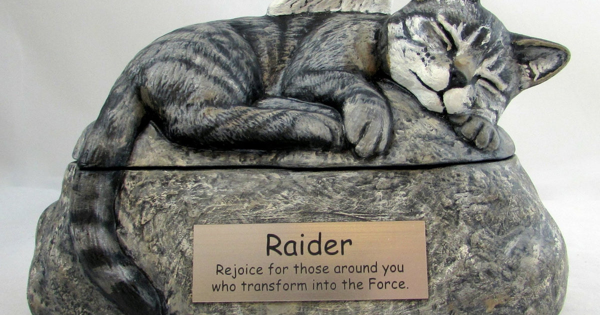 short-haired-custom-painted-ceramic-cat-urn-dewey-cat-wendy.jpg?crop ...